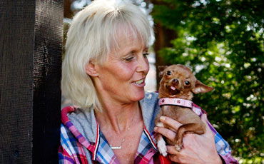 Från schäfer till chihuahua – Arbetet