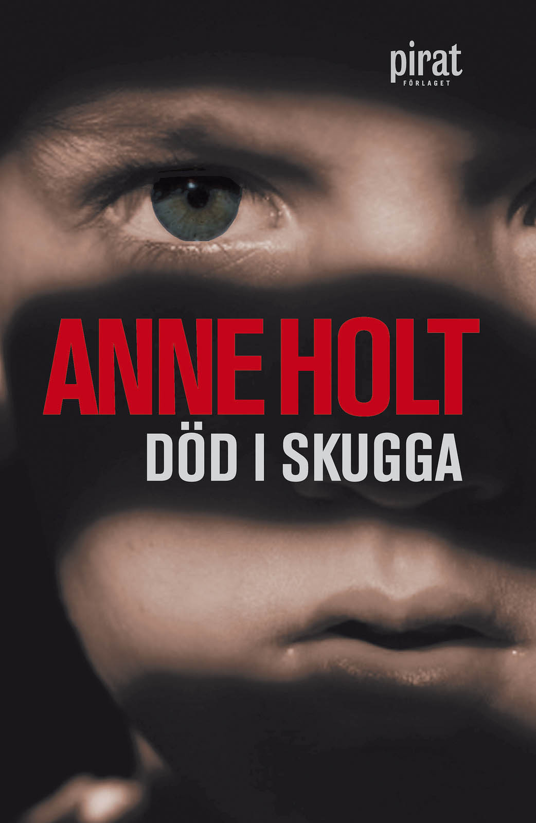 Krimi: Anne Holt – Arbetet