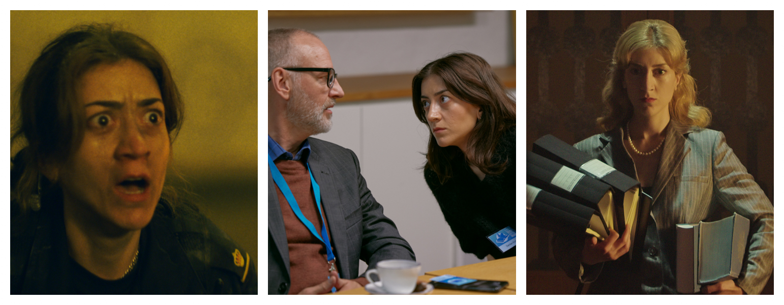 Polis, Denise – och samhällskris – Arbetet