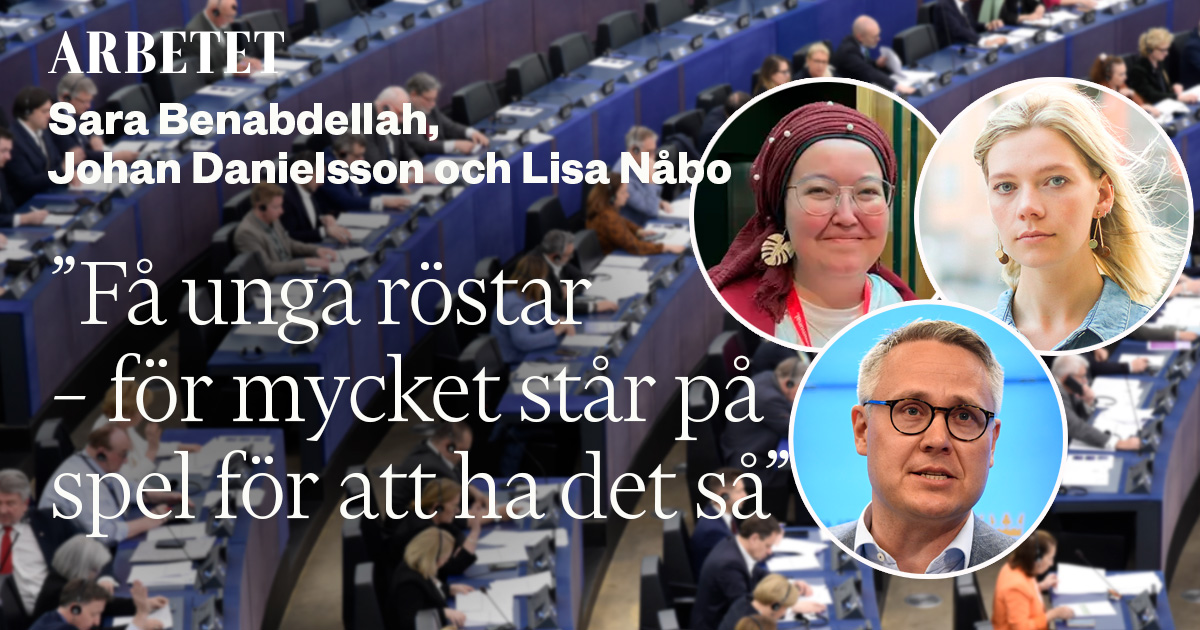 Vi behöver ett EU-parlament som står på de ungas sida. Rösta! – Arbetet