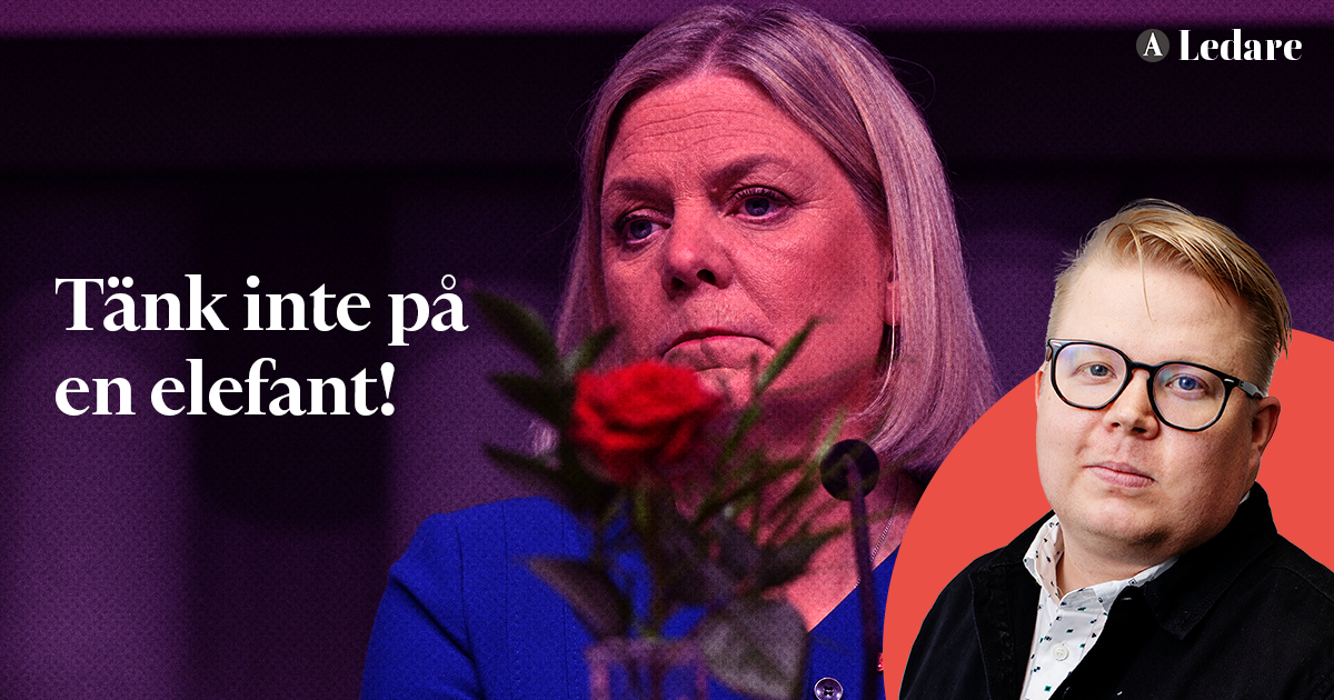 När Magdalena Andersson försökte prata politik tittade alla på elefanten – Arbetet