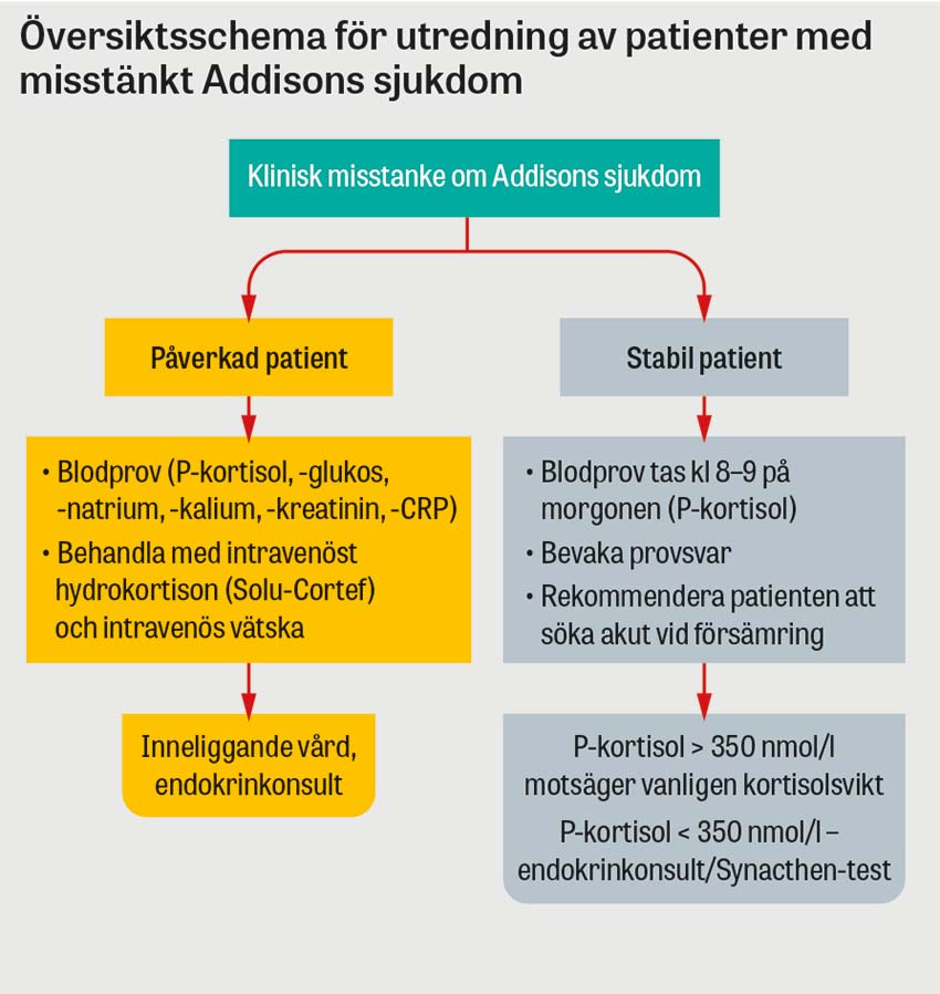 ABC om Addisons sjukdom – Läkartidningen