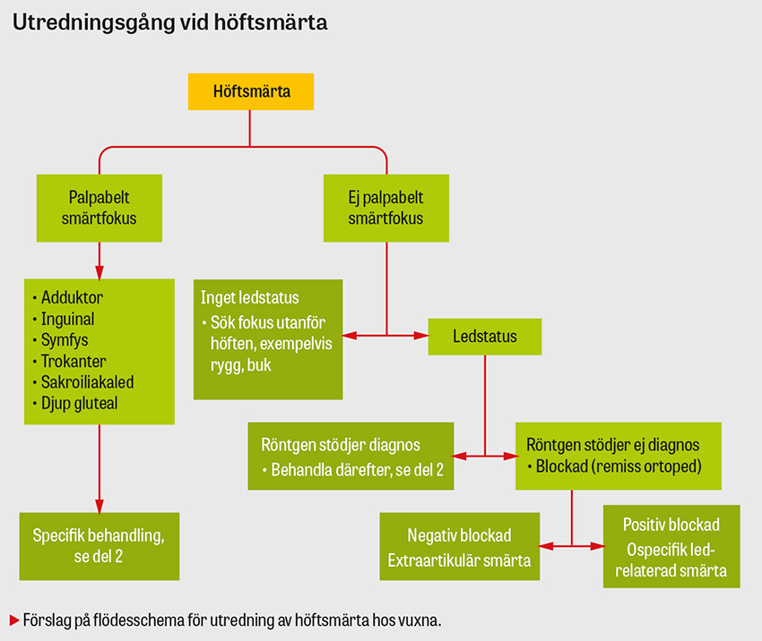 ABC om Höftsmärta hos vuxna – Läkartidningen