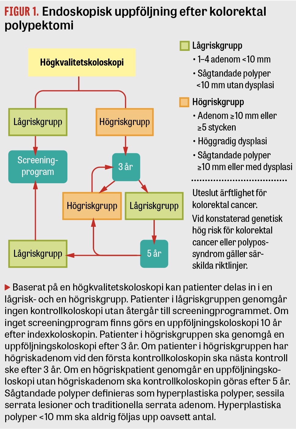 Nya riktlinjer: endoskopisk kontroll efter kolorektal polypektomi ...