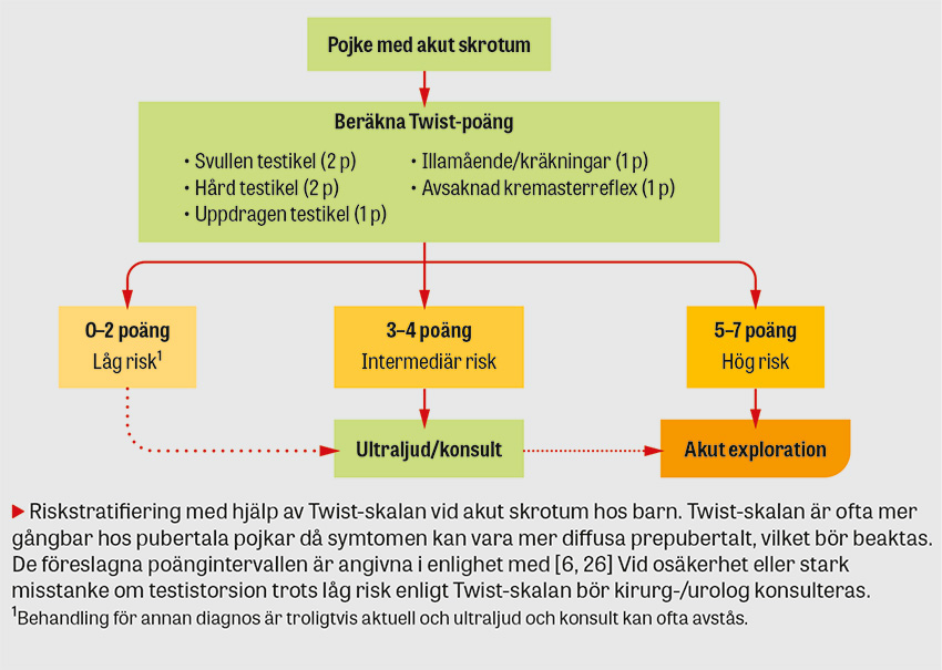 ABC om Akut skrotum hos barn – Läkartidningen
