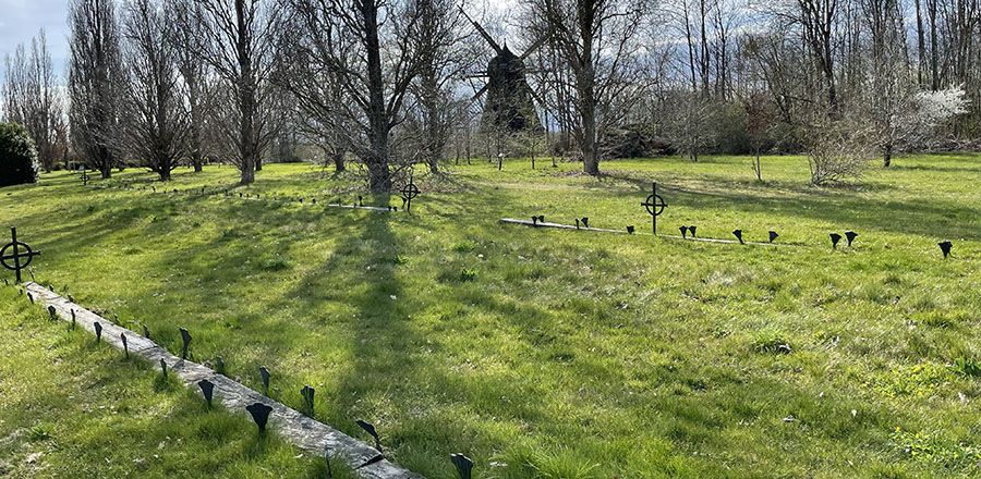 Bortglömda människoöden från Lunds hospital och asyl – Läkartidningen