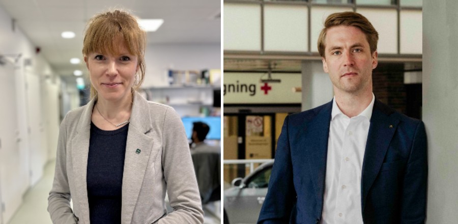 Primärvårdsregionrådet: »Rent krasst har vi ju upptäckt brister ...