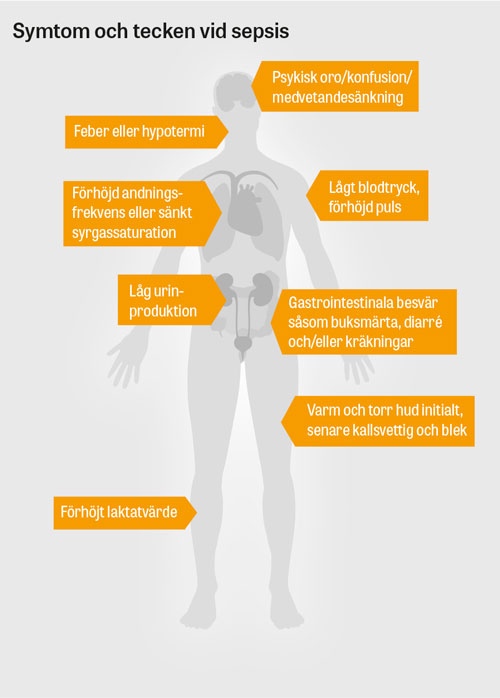 Sepsis hos vuxna – tidig upptäckt och initial behandling – Läkartidningen