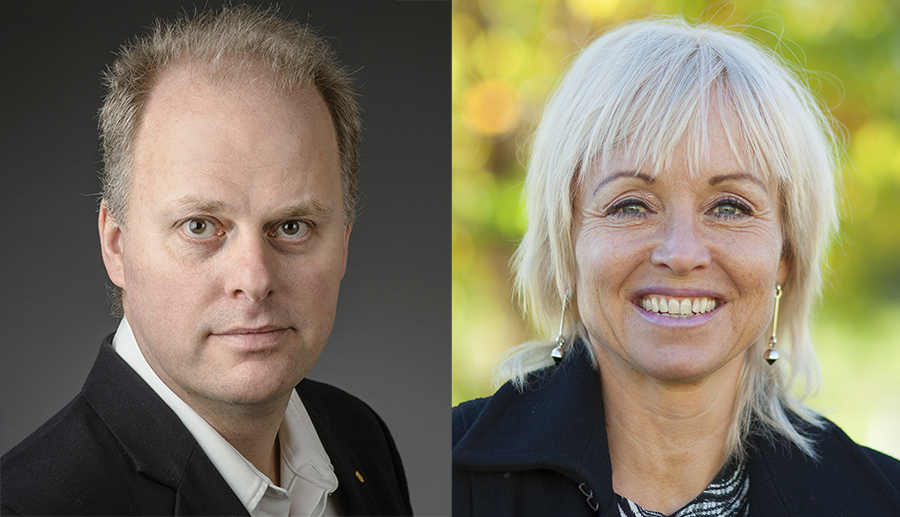 Miljonanslag till Umeåforskare – Läkartidningen