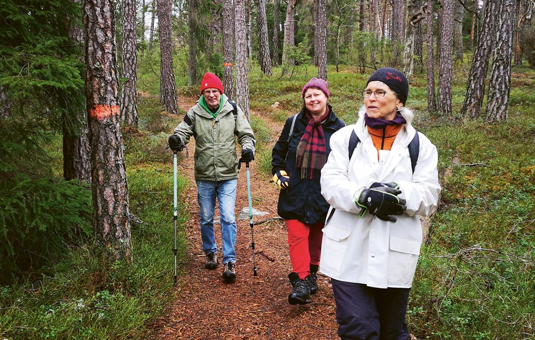 De vill att tallskogen blir naturreservat – Sveriges Natur