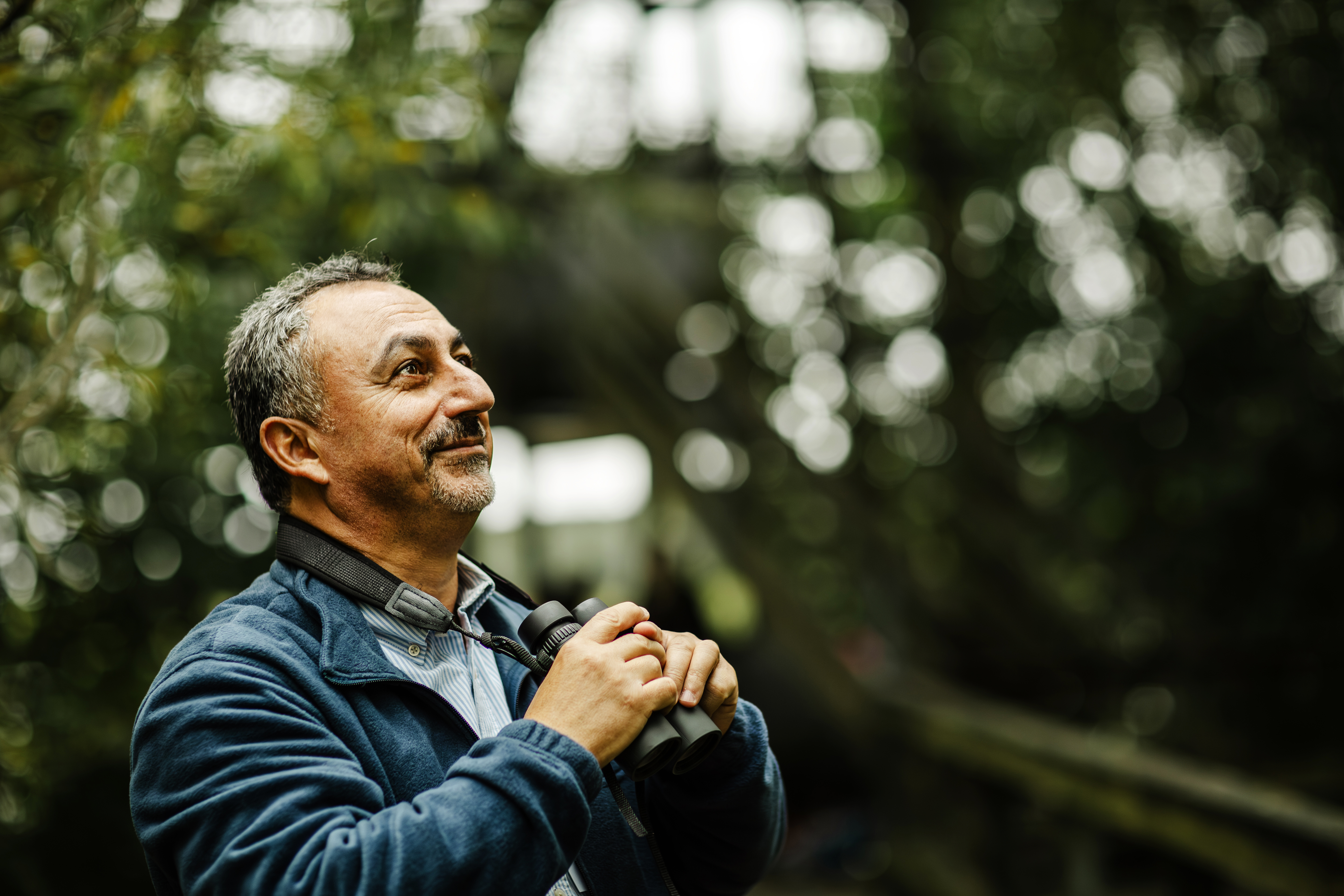 Det våras för bina – Sveriges Natur