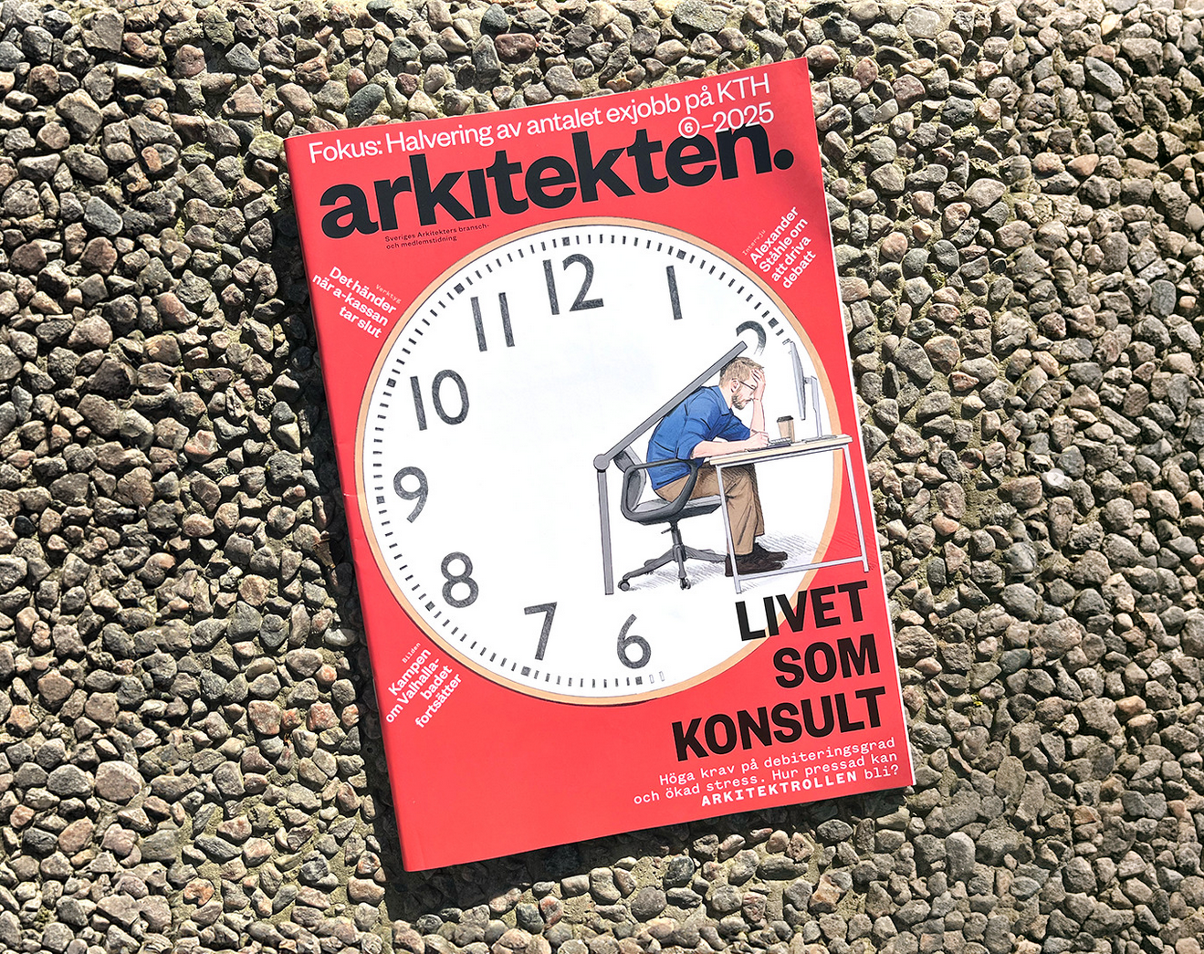 Arkitekten dubbelt nominerad till journalist­pris – för illustration ...