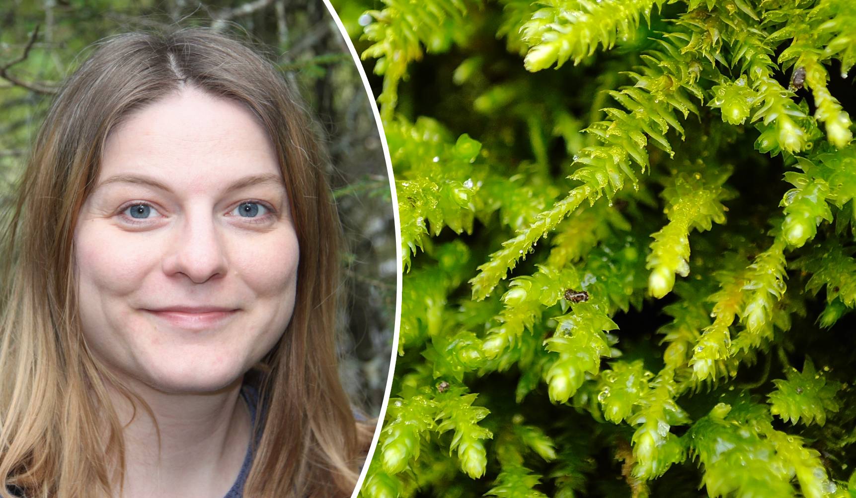 ”Mossfluencer” vill locka fler till Mossornas vänner – Natursidan